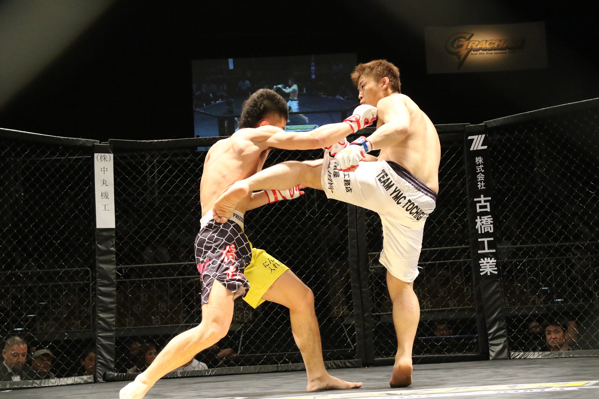 Yamabushi - MMA